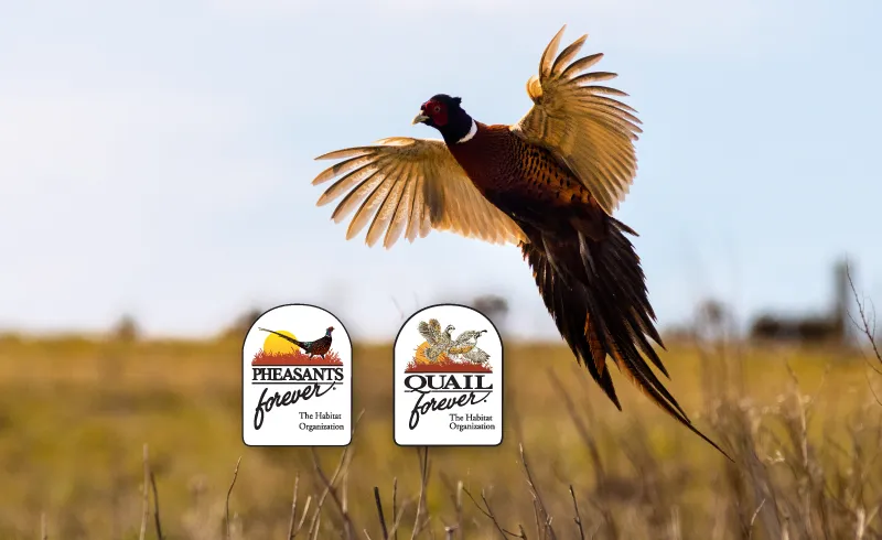 Pheasants Forever Logo